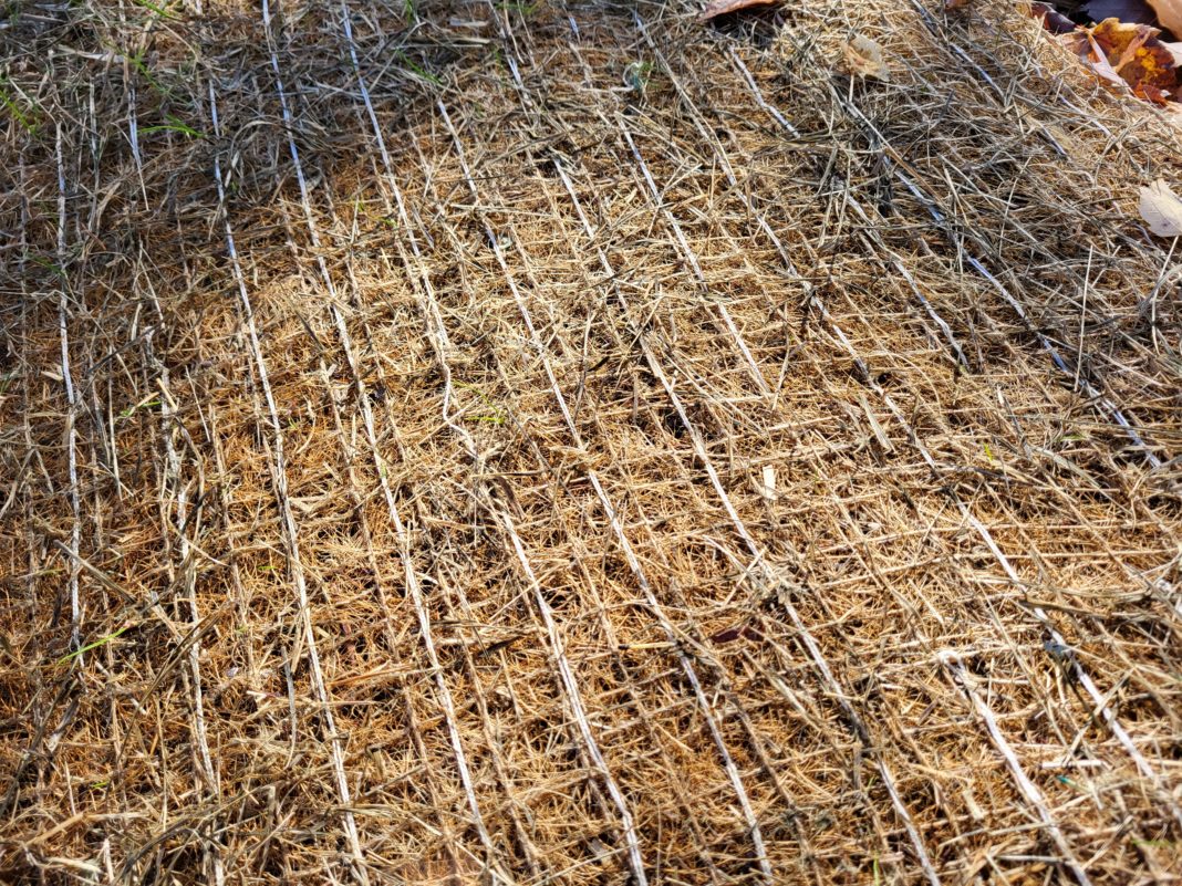 The Intersection of Erosion Control and Wildlife - IECA News Center