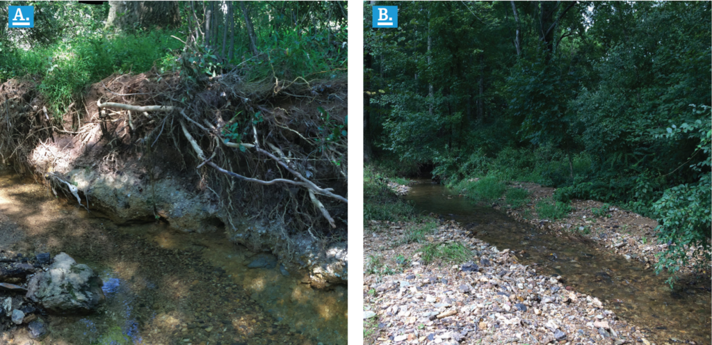 Streams in Transition - IECA News Center