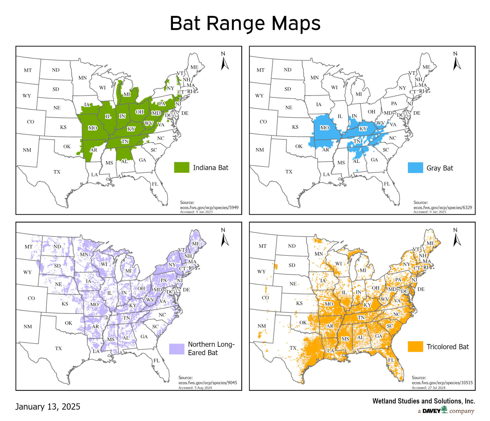 Protected Bats: Compliance and Conservation - IECA News Center