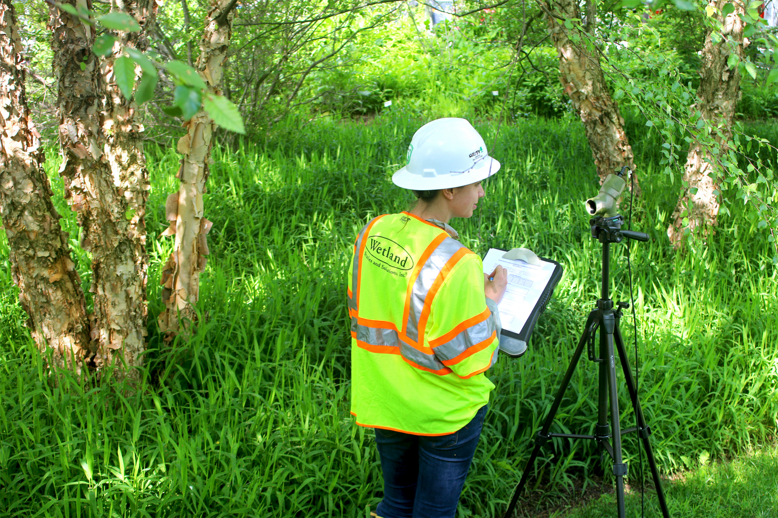 Protected Bats: Compliance and Conservation - IECA News Center
