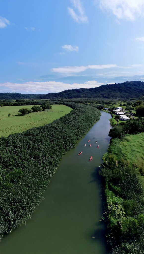 High Tides, Hau Bush and Habitat: Hanalei Riverbank Restoration - IECA ...